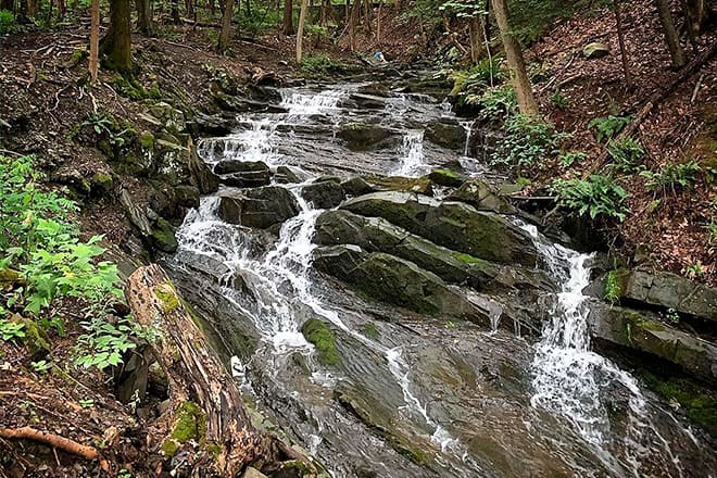 falling waters preserve