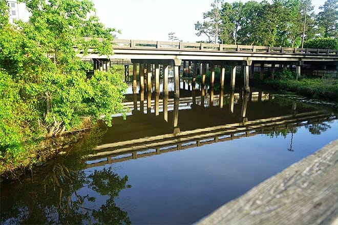gator alley boardwalk