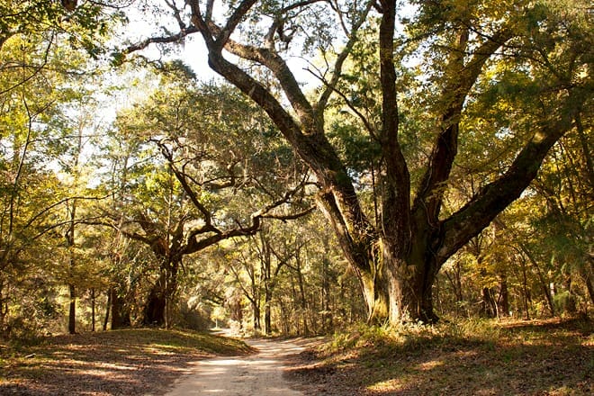 historic blakeley state park