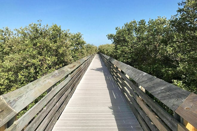 laguna madre nature trail