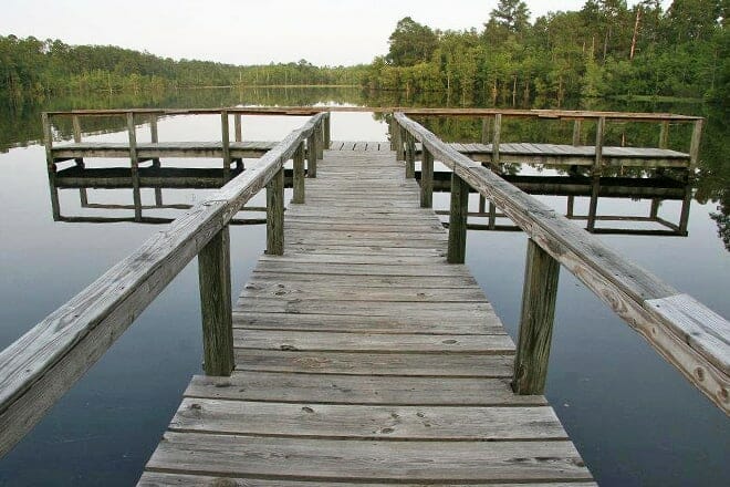 little river state forest