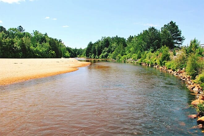 magnolia branch wildlife reserve