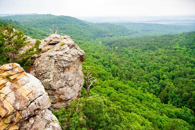 mark twain national forest