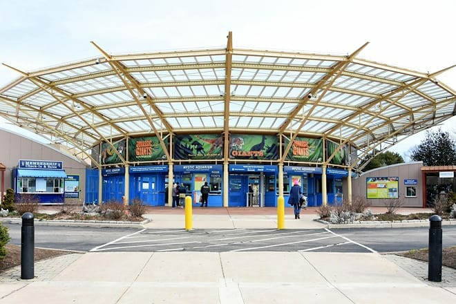 mystic aquarium