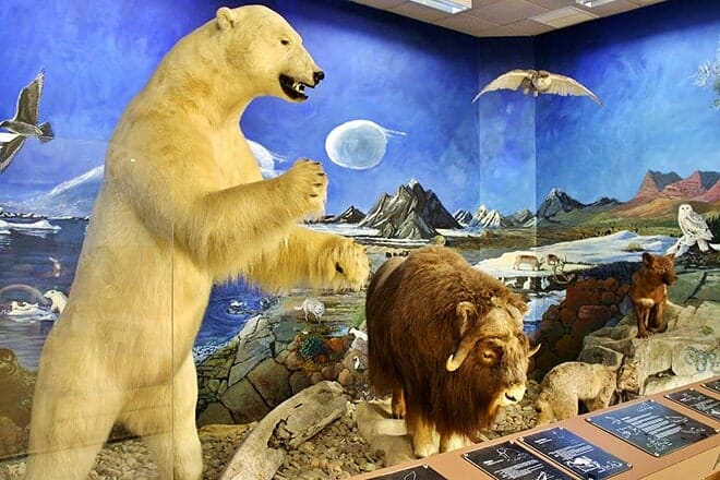 nixon park nature center