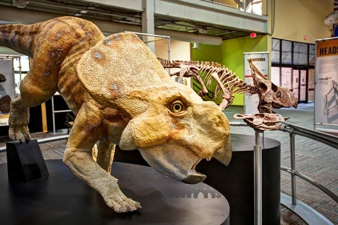 panhandle-plains historical museum