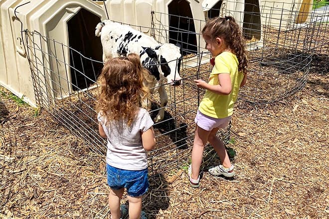 perrydell farm and dairy