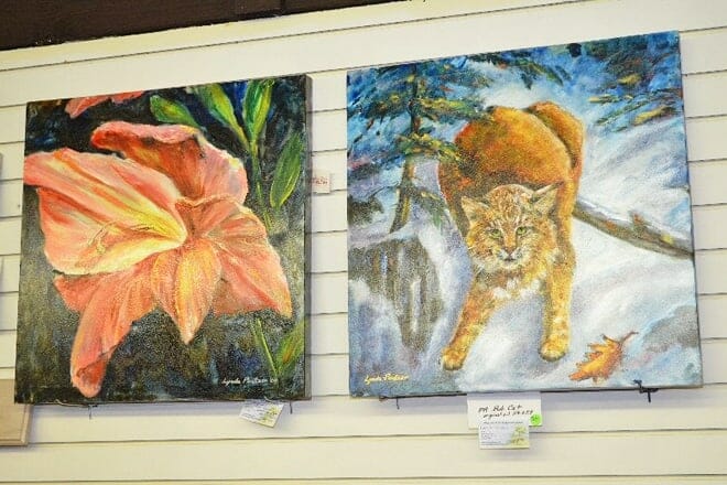 persnickety gift boutique