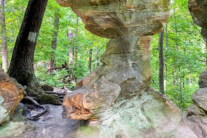 pickle springs natural area