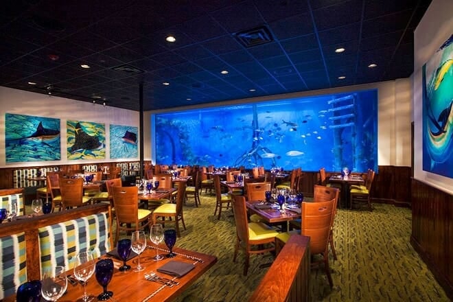 rumfish grill aquarium