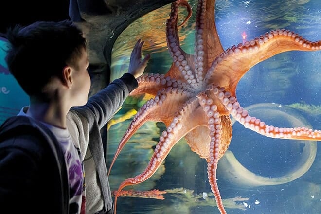 sea life kansas city