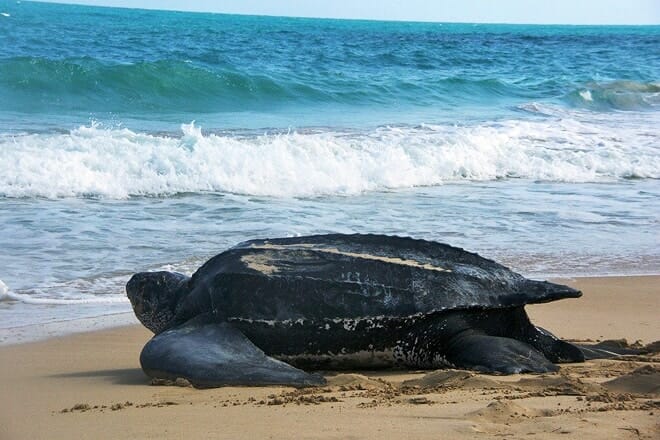 sandy point national wildlife refuge