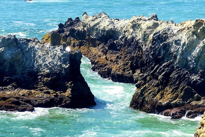 sonoma coast state beach