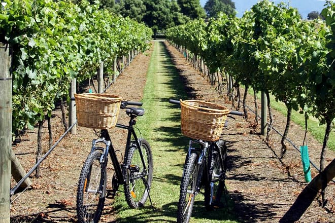 sonoma valley bike tours
