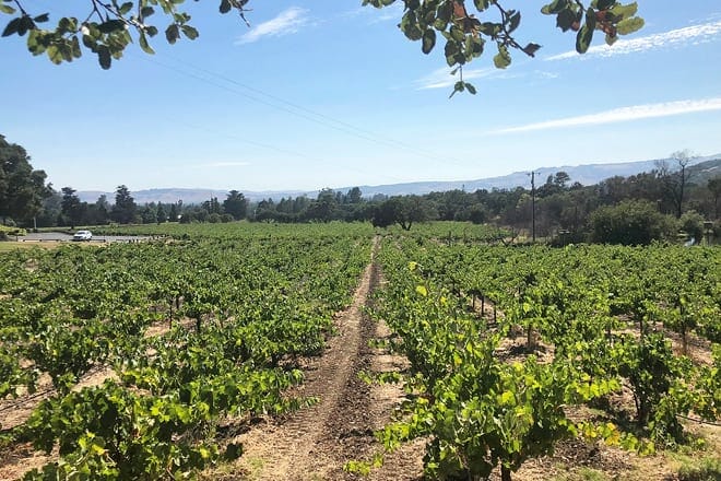 sonoma valley
