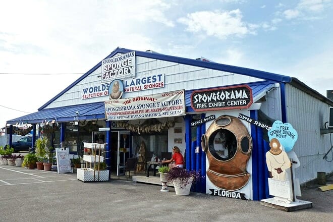 spongeorama sponge factory