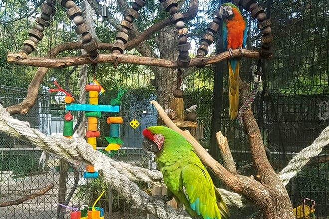 Suncoast Primate Sanctuary Foundation, Inc.