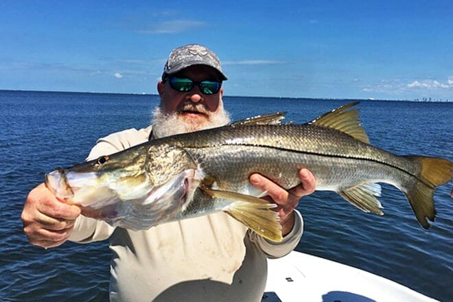 tampa fishing charters