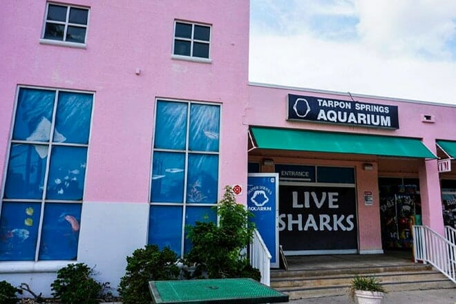 tarpon springs aquarium and animal sanctuary