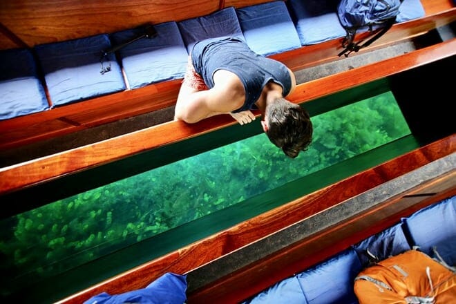 the meadows center glass bottom boat tours