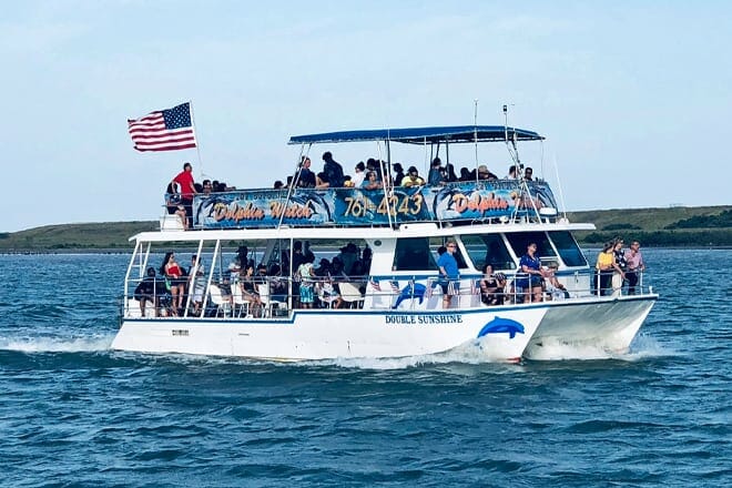 the original dolphin watch