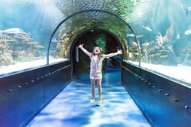 the shreveport aquarium