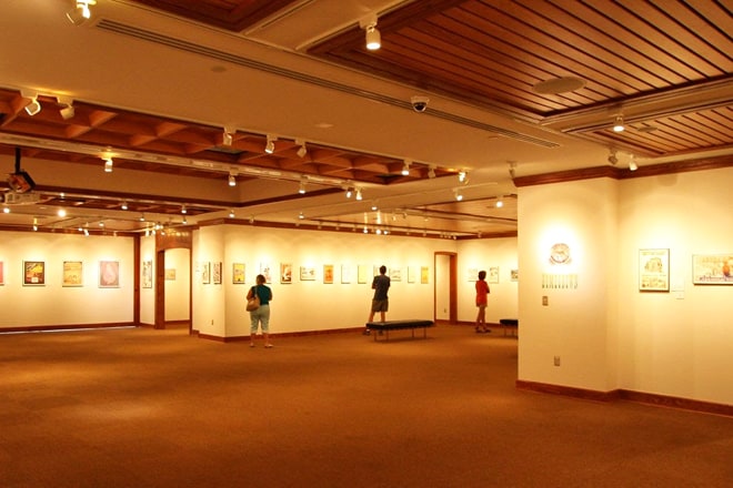 the wittliff collections