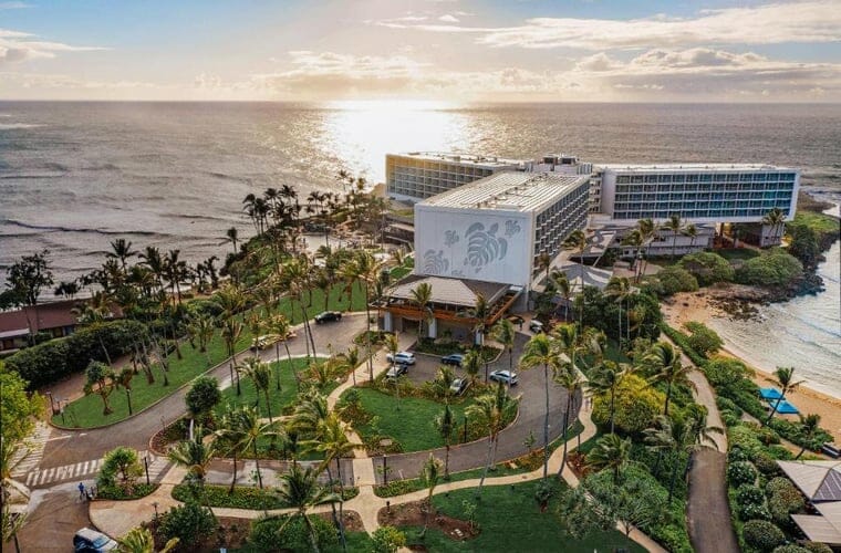 turtle bay resort