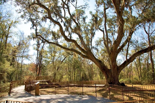 village point park preserve