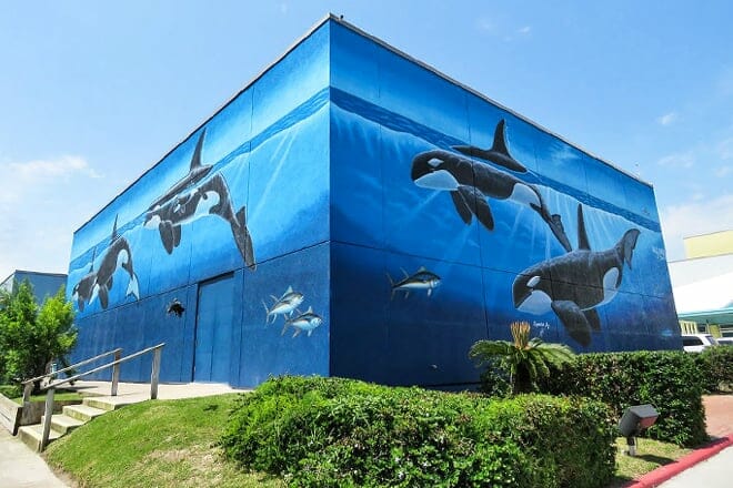 wyland&rsquo;s whaling wall