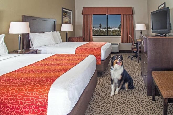 Gray Wolf Inn & Suites