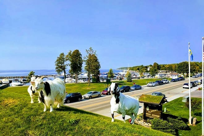 Al Johnson&rsquo;s Swedish Restaurant & Butik