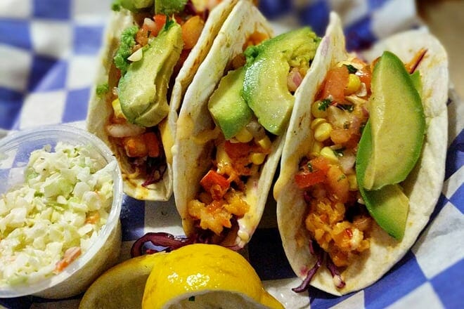 cape cod fish company