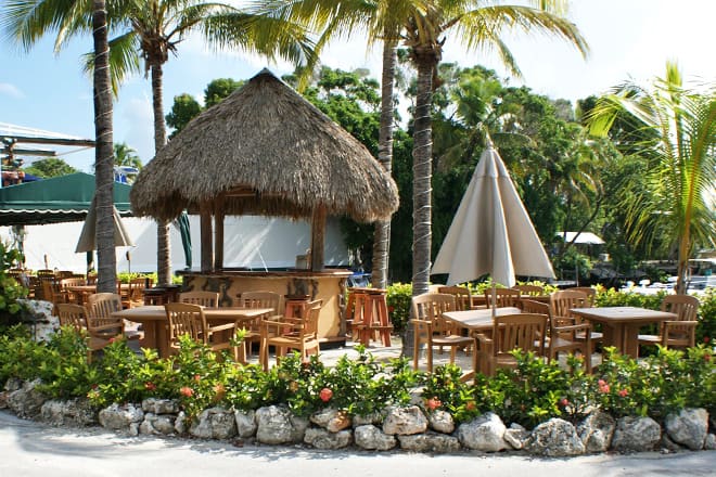 the buzzard&rsquo;s roost