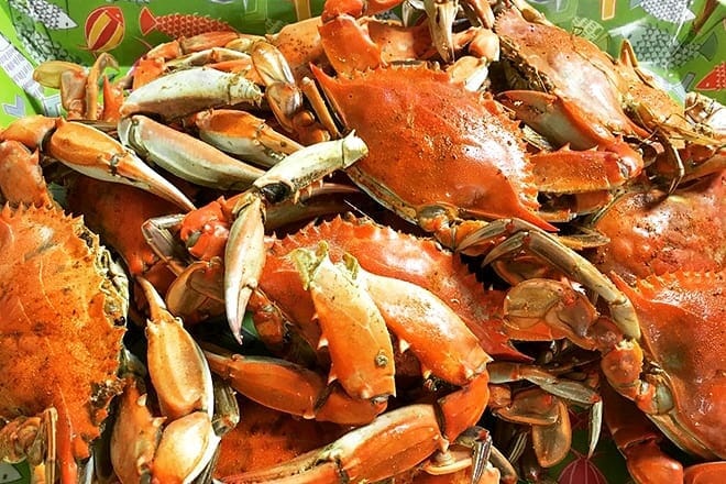 crab and seafood shack