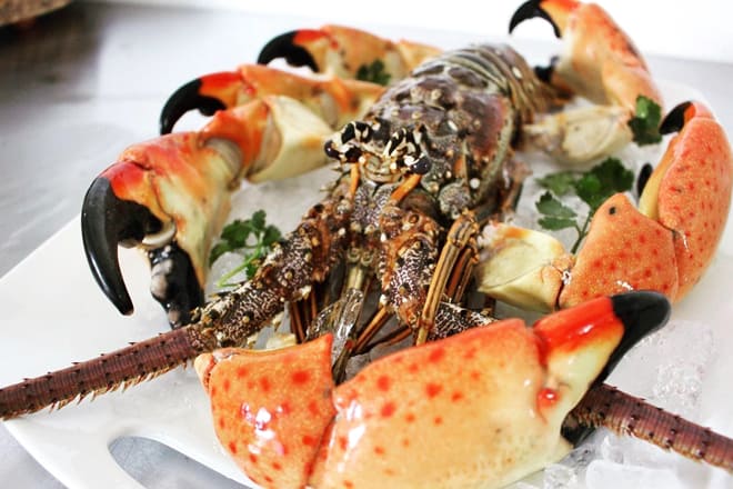 garcias seafood grille fish market