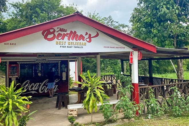 ms. bertha&rsquo;s tamales