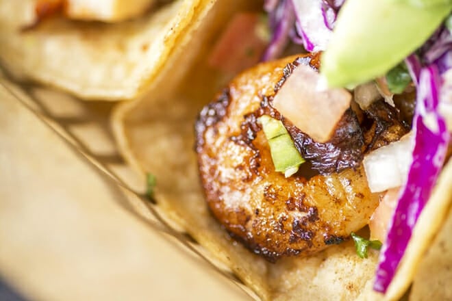 el patron mexican grill