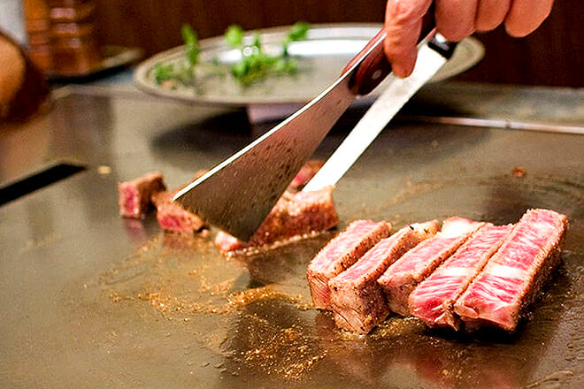 fujiyama japanese steakhouse