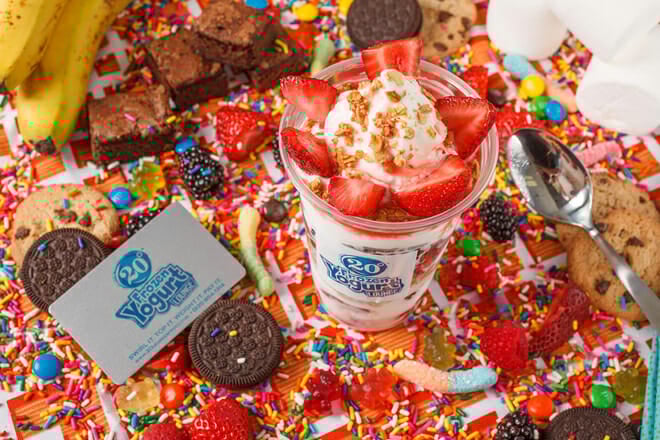 20 degrees frozen yogurt lounge