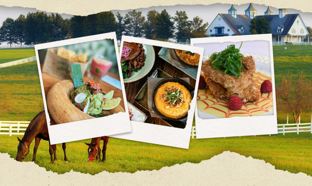 best restaurants in lexington travel photo