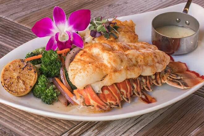 Market Broiler - Ontario