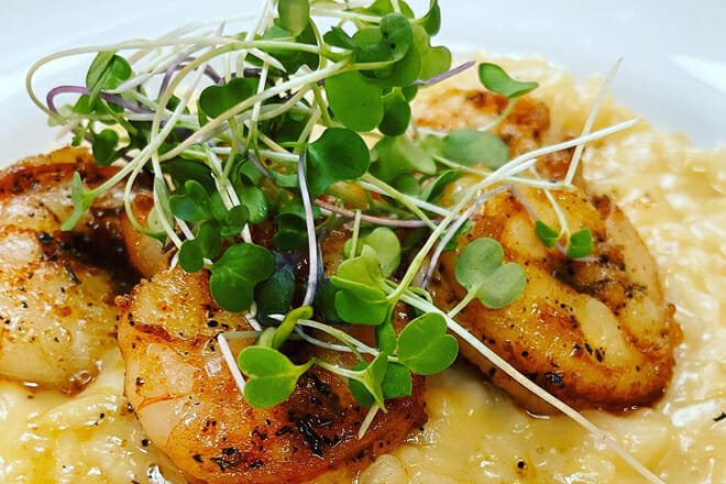 masters kitchen and cocktail