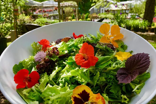 origins cafe at carefree gardens