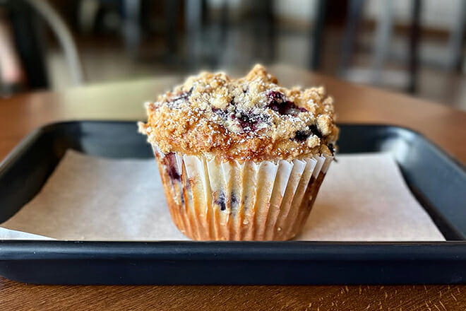 black oak coffee roasters