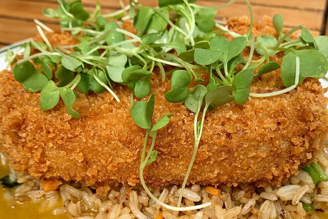 blackeyed susan&rsquo;s