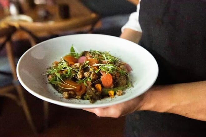 harvest seasonal kitchen