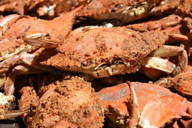 Jimmy Cantler's Riverside Inn