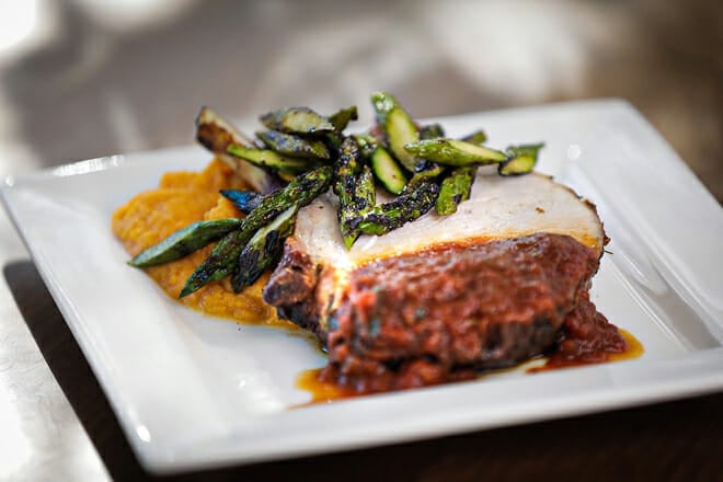 the salty whale and guesthouse