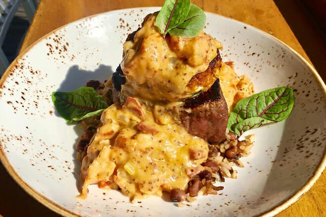 the shark on the harbor